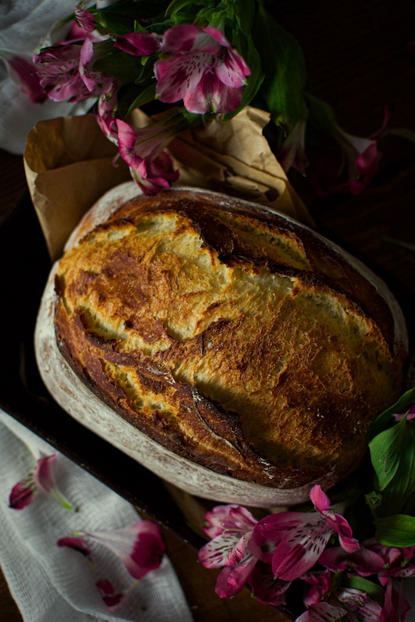 Homemade Artisan 3-Day Bread - Countess in the Kitchen